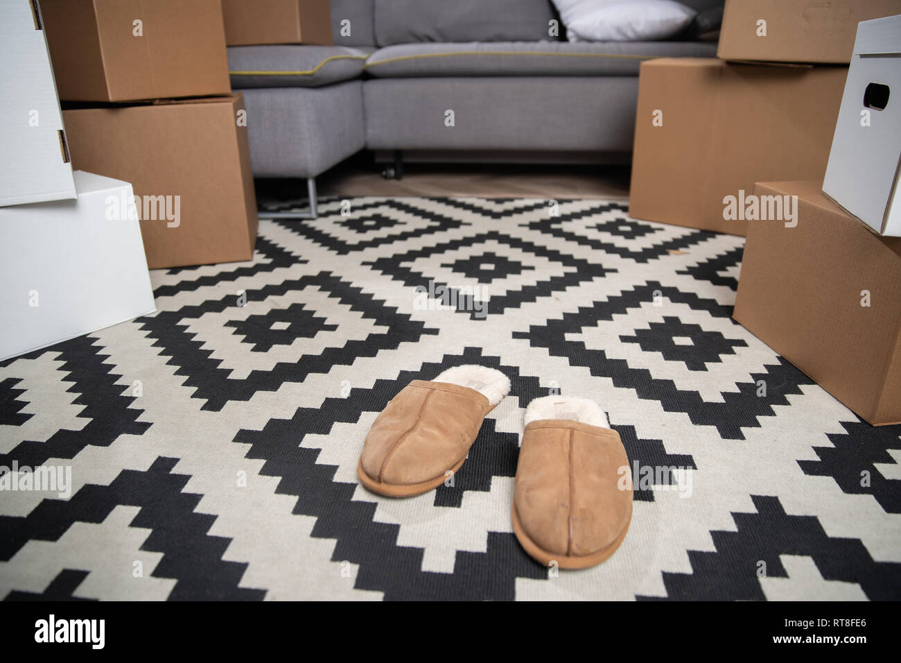 Cardboard boxes, gray sofa, slippers, carpet Stock Photo - Alamy