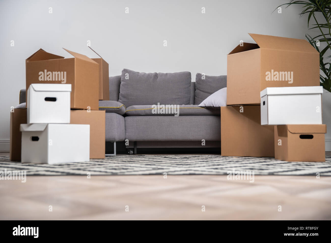 Cardboard boxes, gray sofa, carpet Stock Photo - Alamy