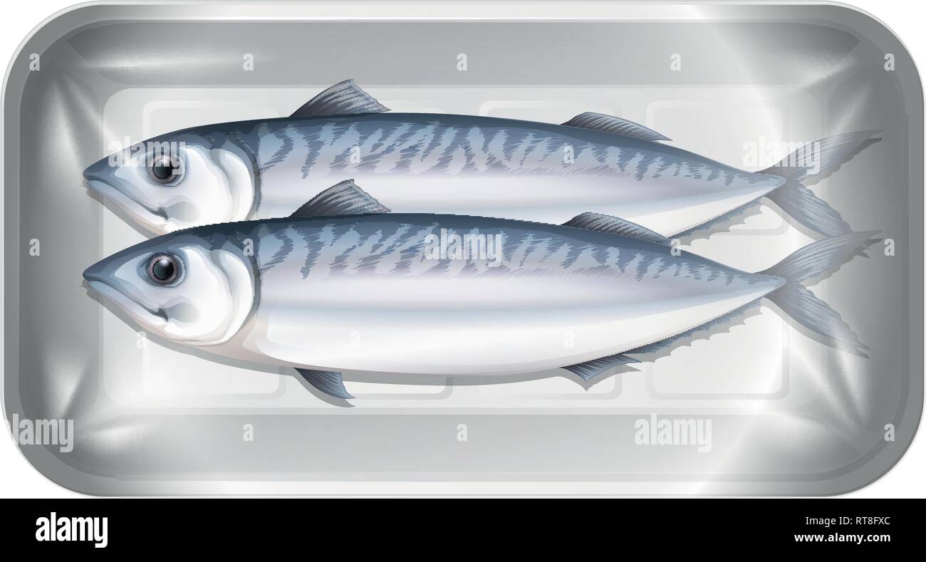Mackerel in the package illustration Stock Vector Image & Art - Alamy