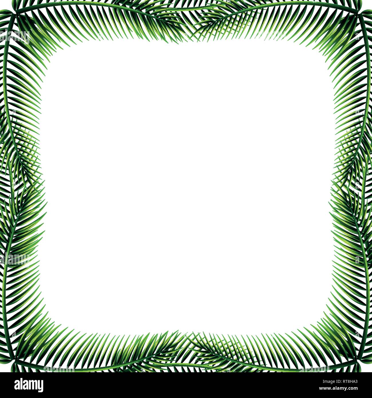 Palm leaf nature frame illustration Stock Vector Image & Art - Alamy