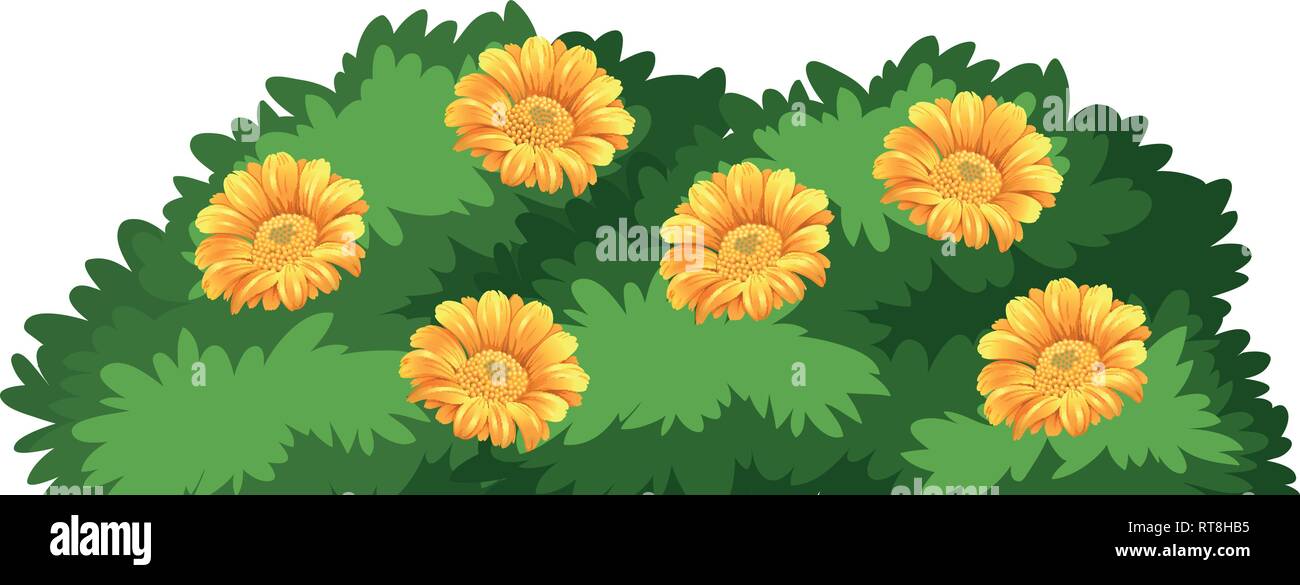 An isolated flower bush illustration Stock Vector Image & Art - Alamy