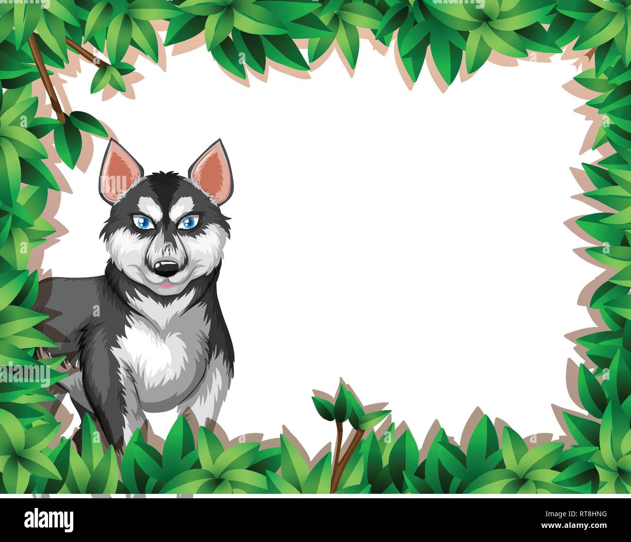 A husky on nature frame illustration Stock Vector Image & Art - Alamy