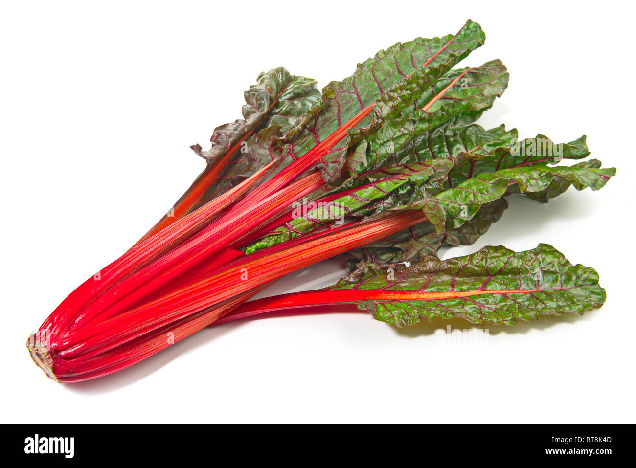 Red Chard with Leaves on white Background Stock Photo - Alamy