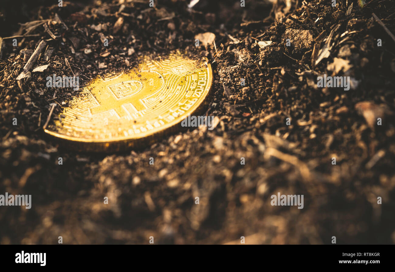 Bitcoin mining and cryptocurrency concept with a golden coin submerged ...