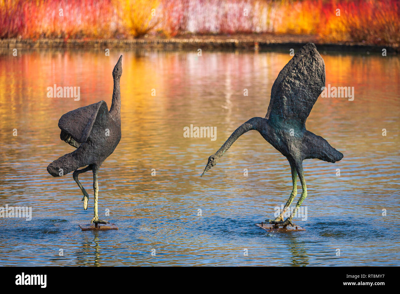 Courting Cranes by Gail Runyon Perry at Wisley RHS Gardens, illuminated ...