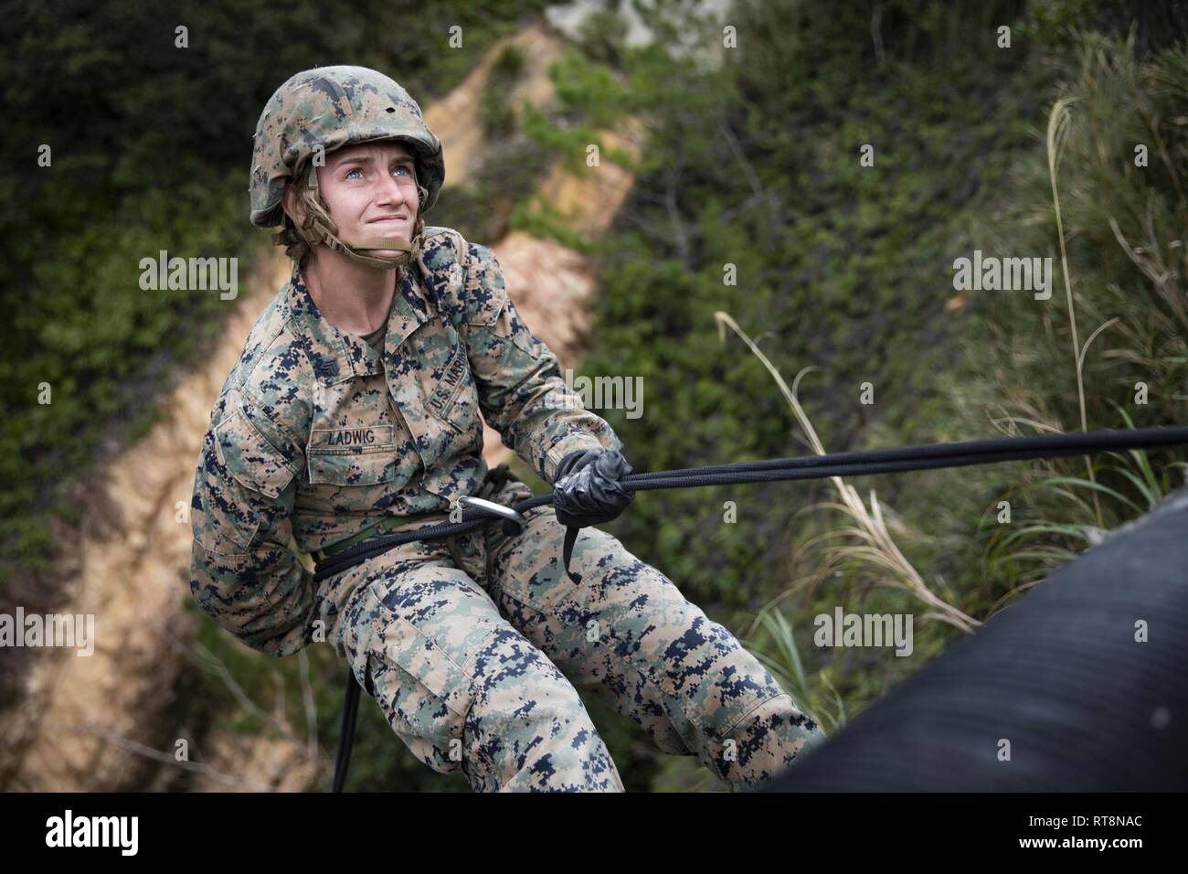 Ladwig hi-res stock photography and images - Alamy