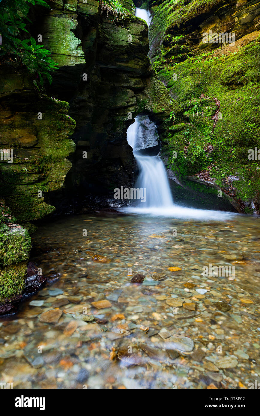 St Nectans Glen and waterfall is a stones throw from Tintagel in ...