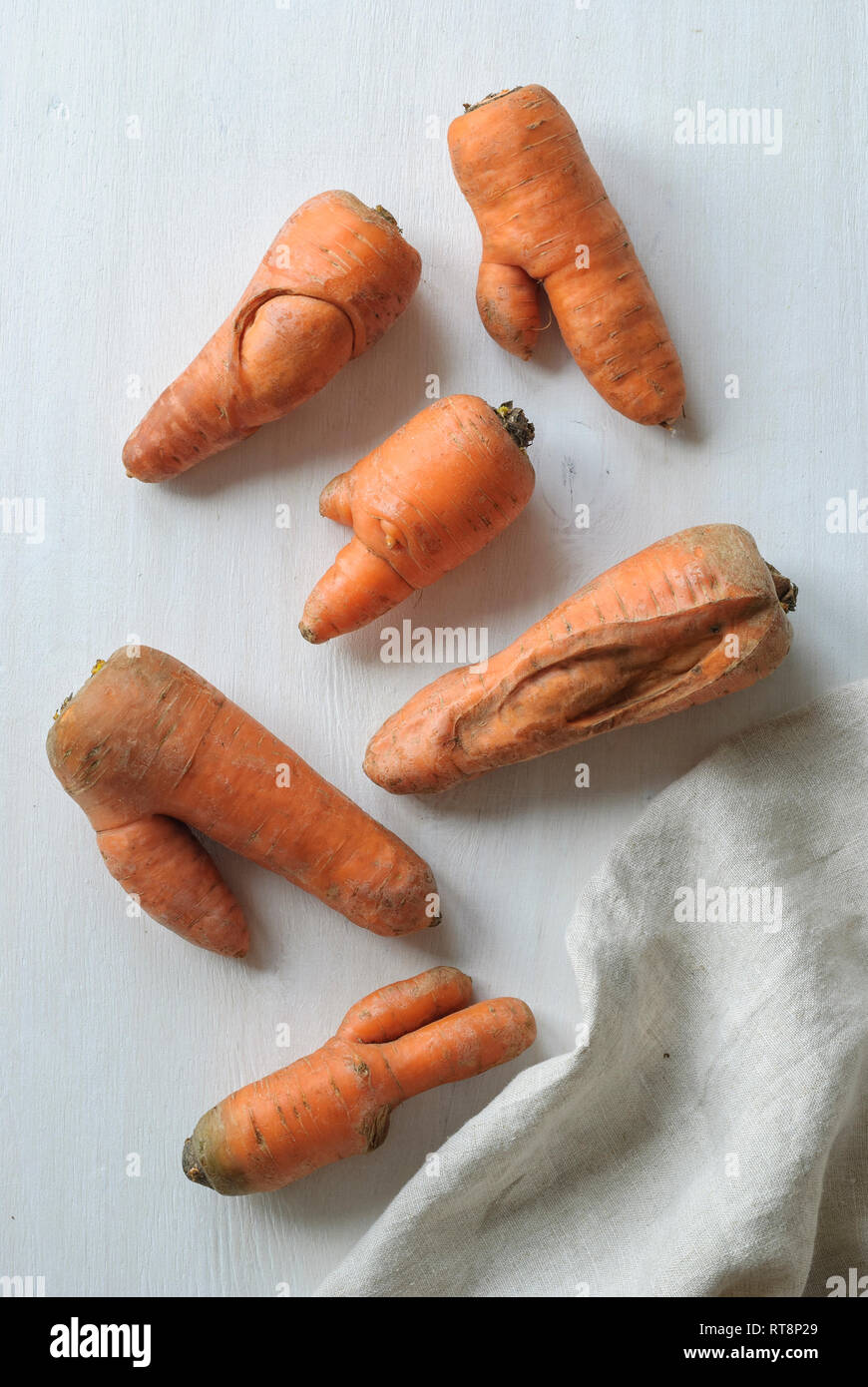 Some ugly carrots of a harvest, with imperfect double shapes and cracks ...