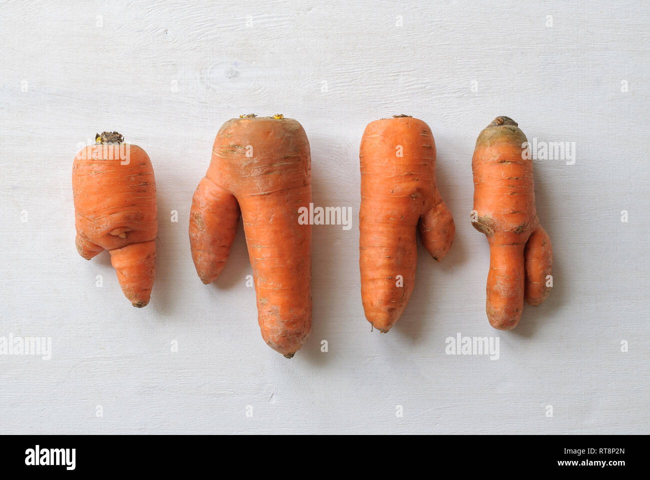 Carrots of different imperfect shapes. Ugly vegetables concept on white ...