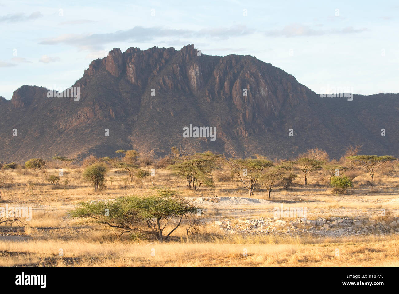 Scenic of bush and mountains, Shaba National Reserve, Kenya Stock Photo ...