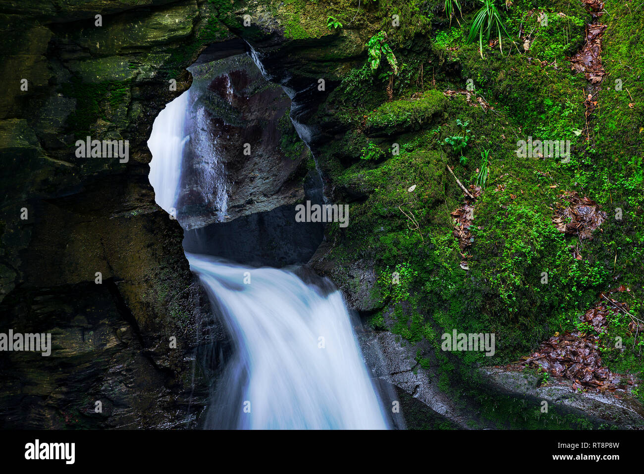 St Nectans Glen and waterfall is a stones throw from Tintagel in ...