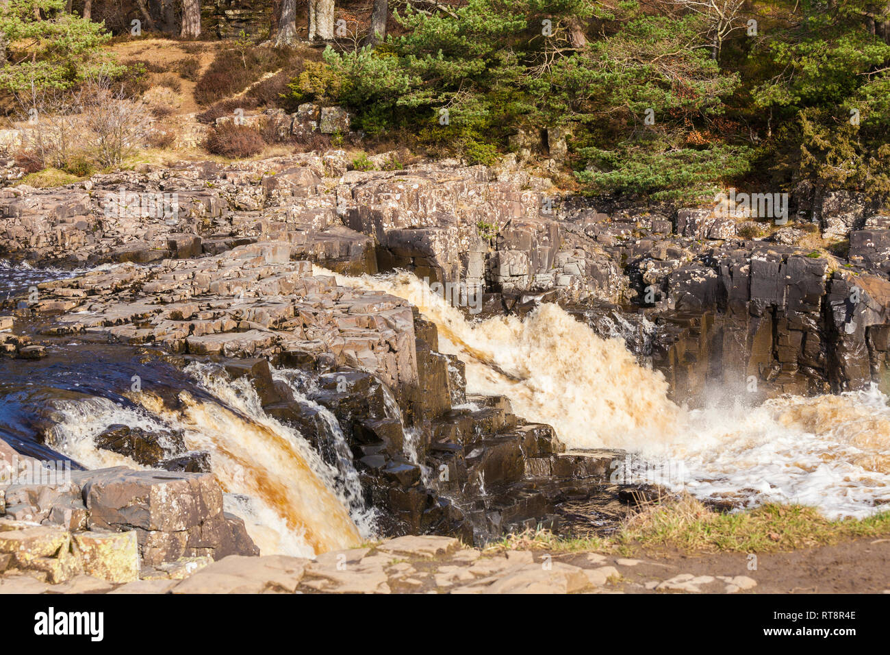 The waterfalls at Low Force,Teesdale,England,UK Stock Photo - Alamy