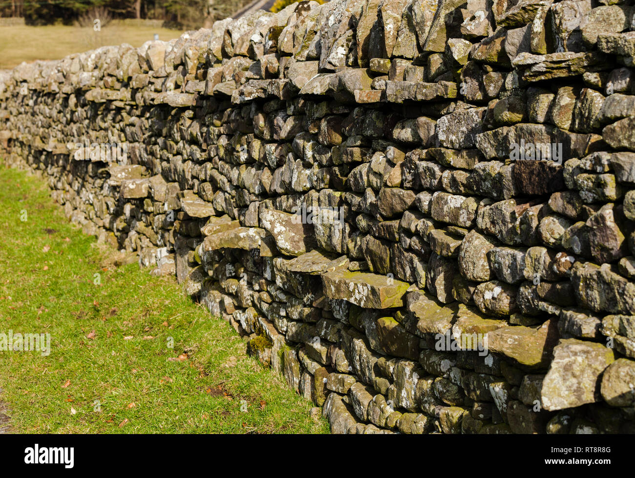 Stone walls on farmland in Teesdale,England,UK Stock Photo - Alamy