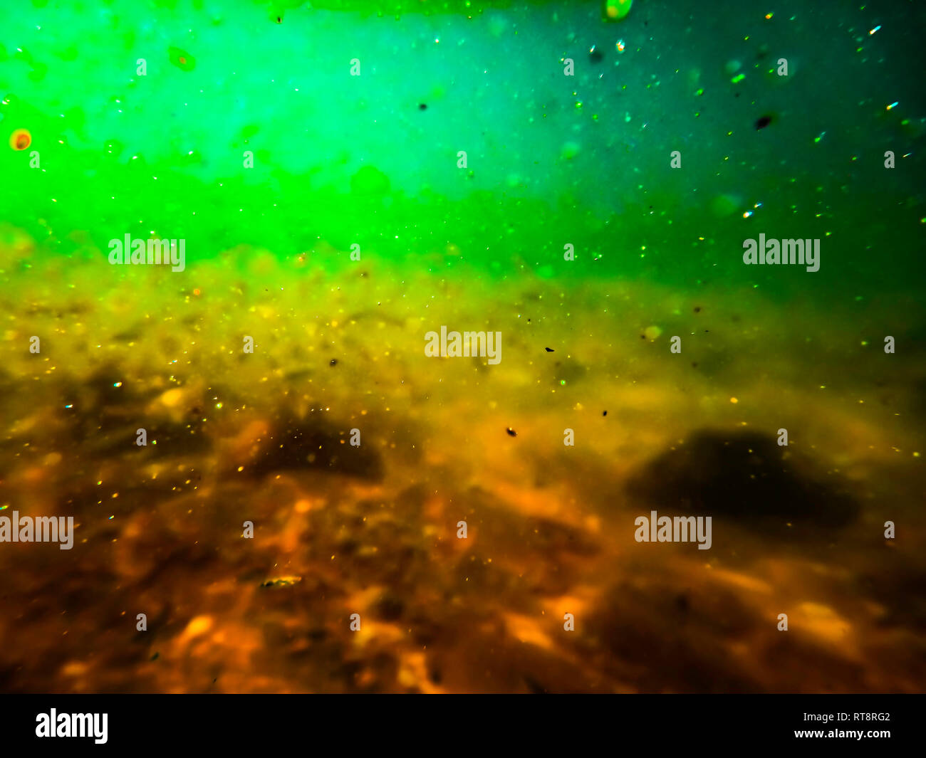 Blurred underwater shot of muddy water - Out of focus underwater image ...