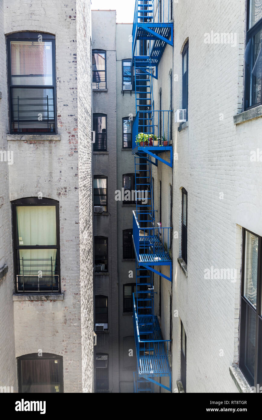 Backyard of old typical houses in the Harlem neighborhood in Manhattan ...