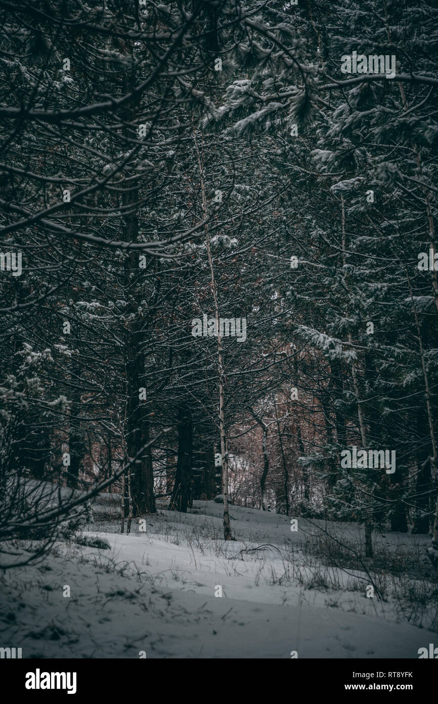 Thin Line Art High Resolution Stock Photography and Images - Alamy