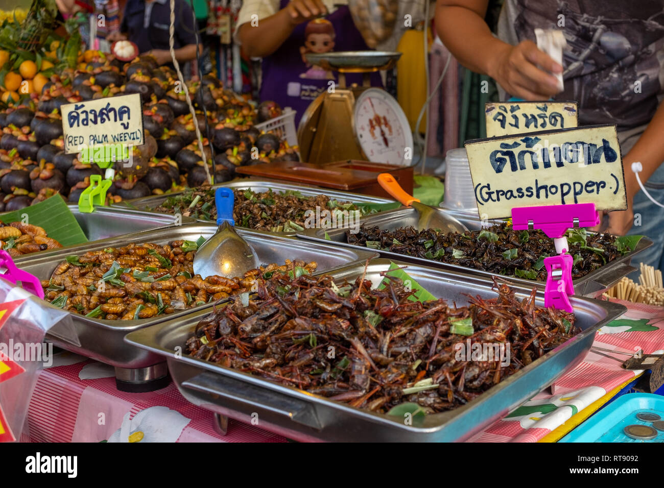 Close up of a range of deep fried insects for sale including ...