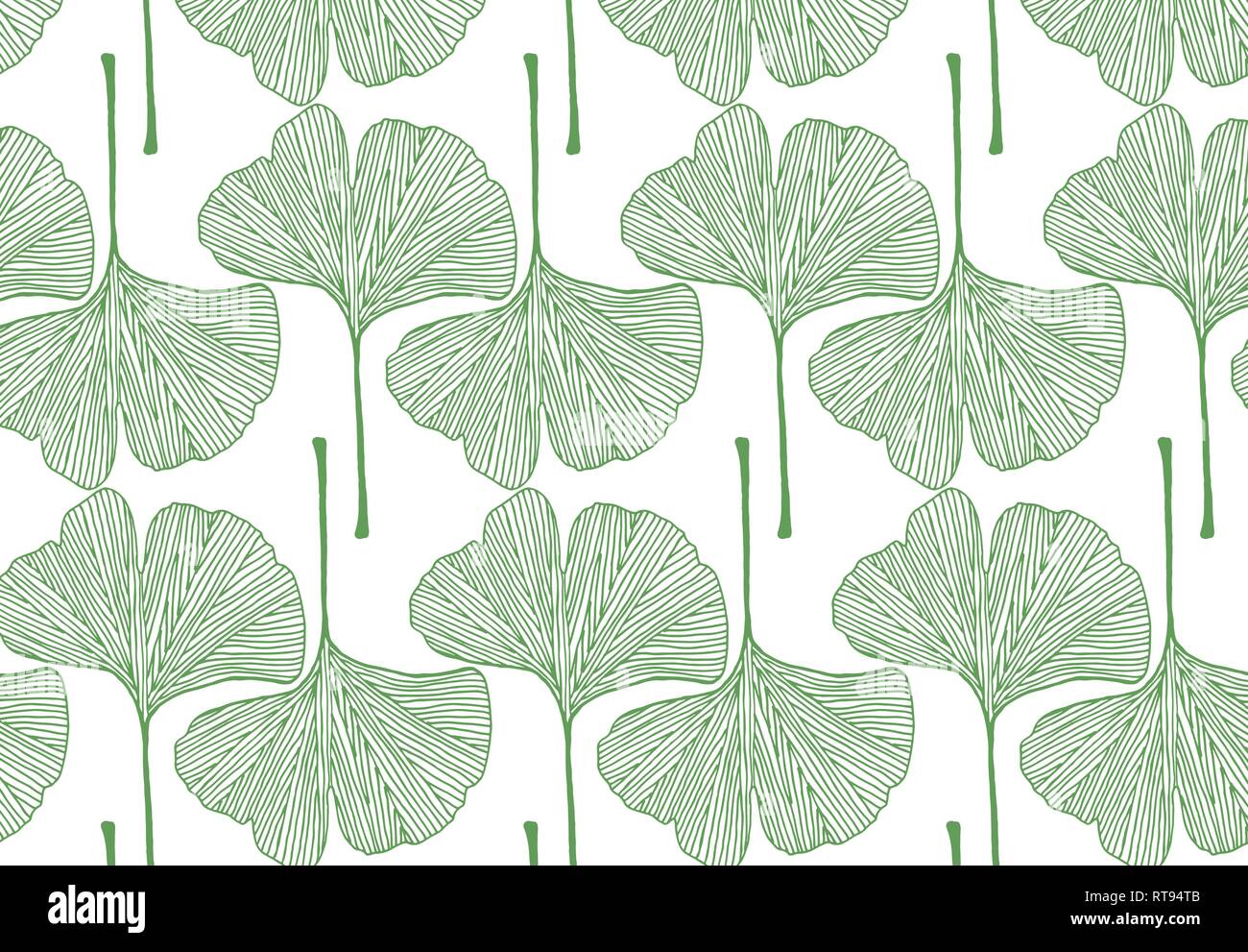 Green ginkgo biloba tree Stock Vector Images - Alamy