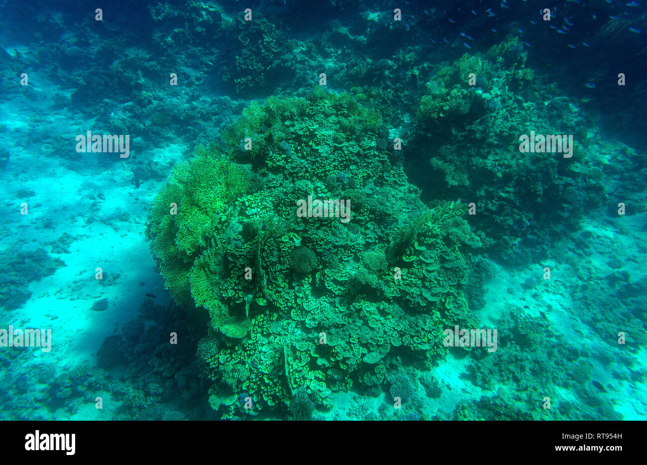 Abstract Aquatic Deep Blue Seabed Underwater Background Stock Photo - Alamy