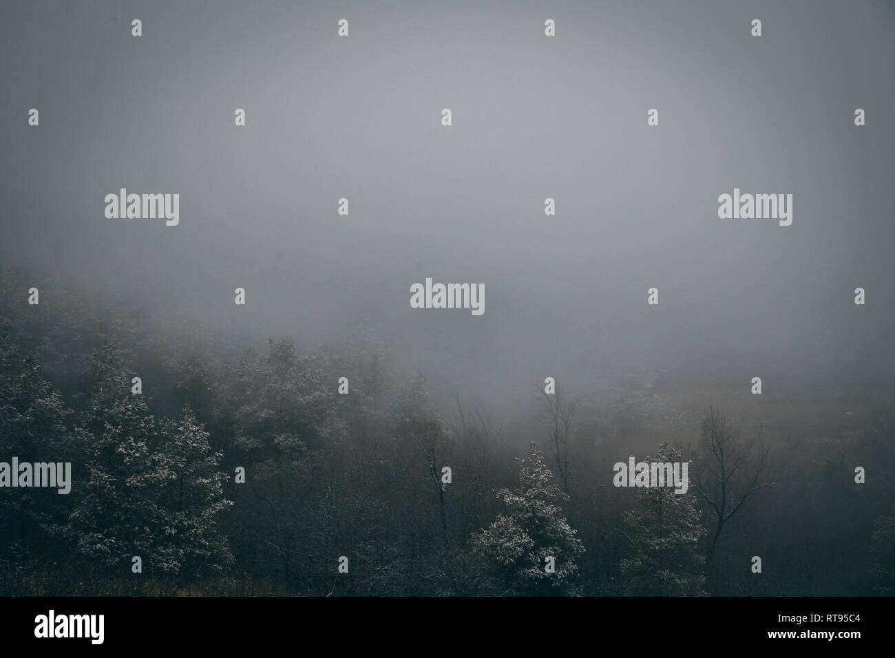 Fogy weather hi-res stock photography and images - Alamy