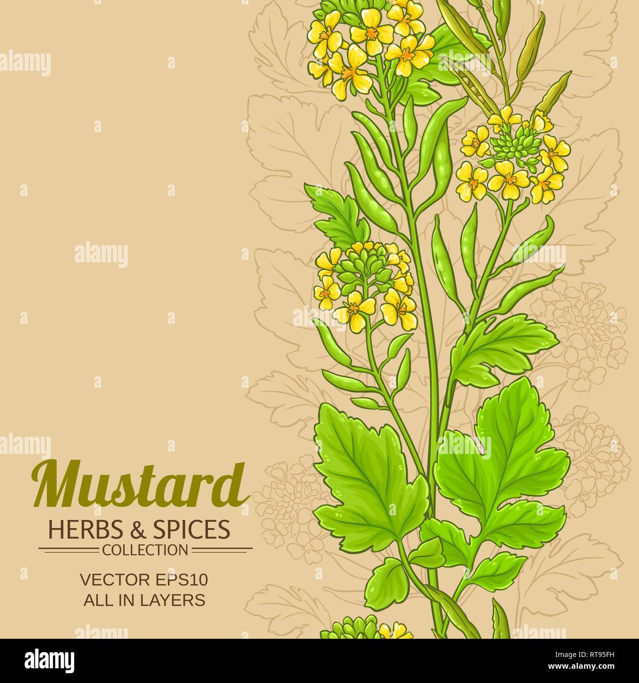 Dijon vector vectors Stock Vector Images - Alamy