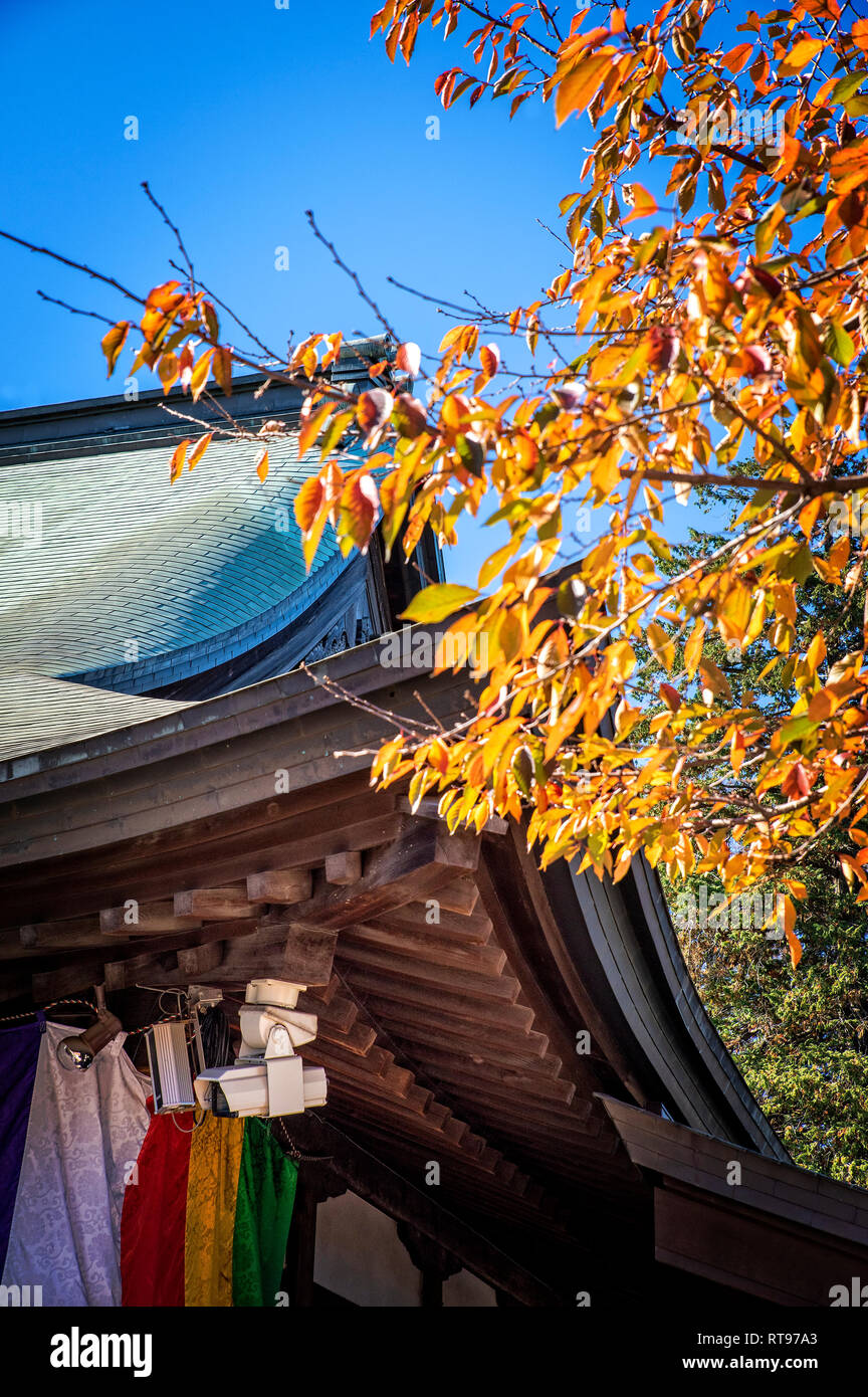 Roof of Japanese Temple with autumn trees Stock Photo - Alamy