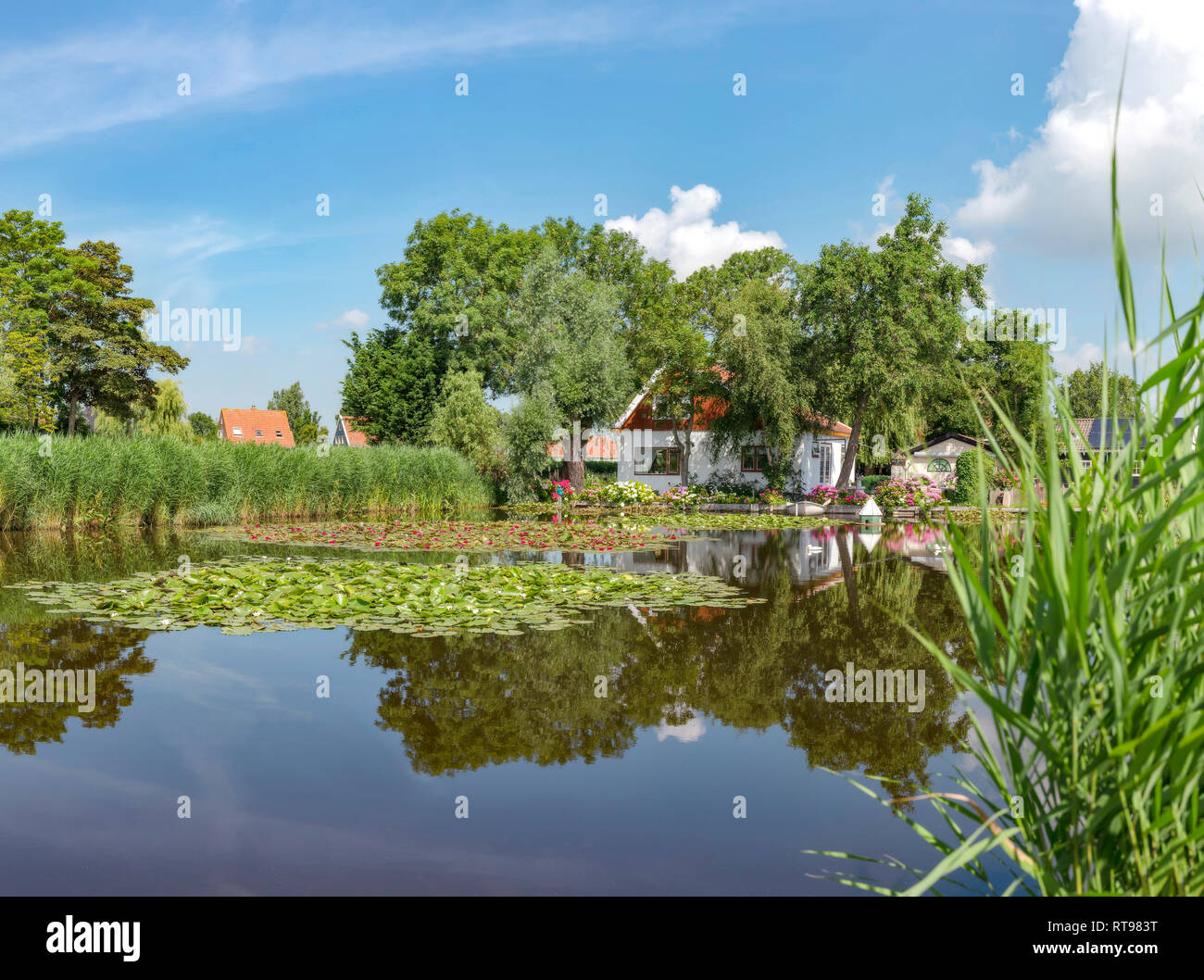 Farmhouse reflecting in a lake with water lily Stock Photo - Alamy