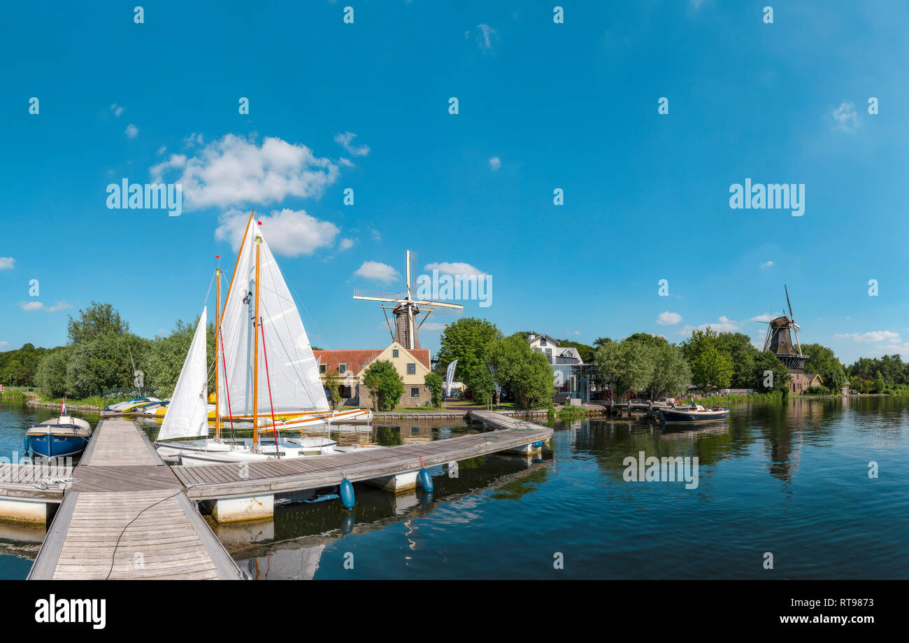 Windmills “De Lelie” and “De Ster” at the border of Lake Kralingen ...