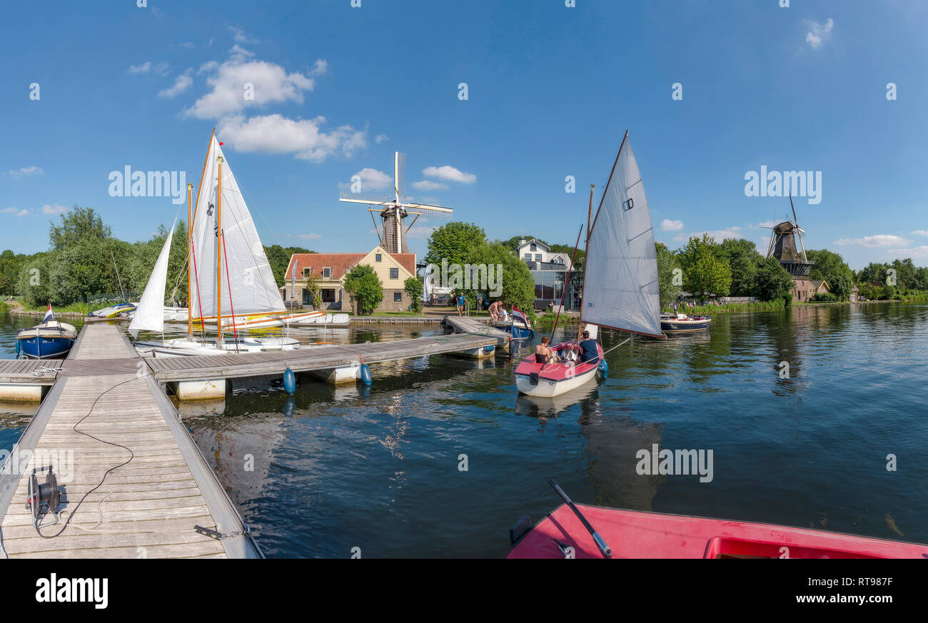 Windmills “De Lelie” and “De Ster” at the border of Lake Kralingen ...