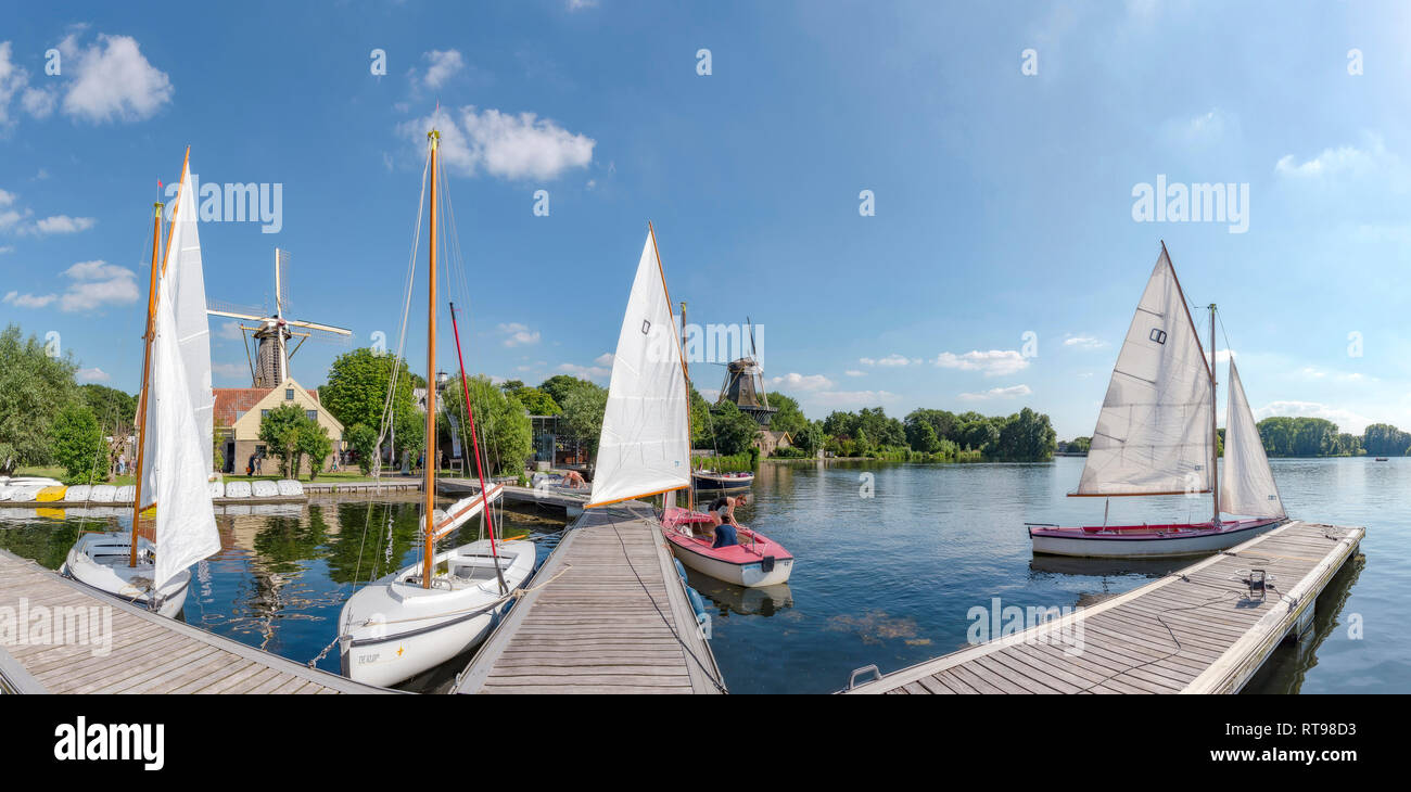Windmills “De Lelie” and “De Ster” at the border of Lake Kralingen ...