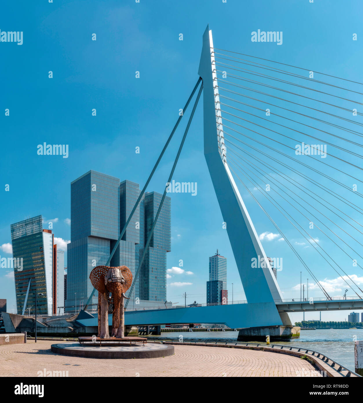 The Erasmusbridge and modern architecture Stock Photo - Alamy