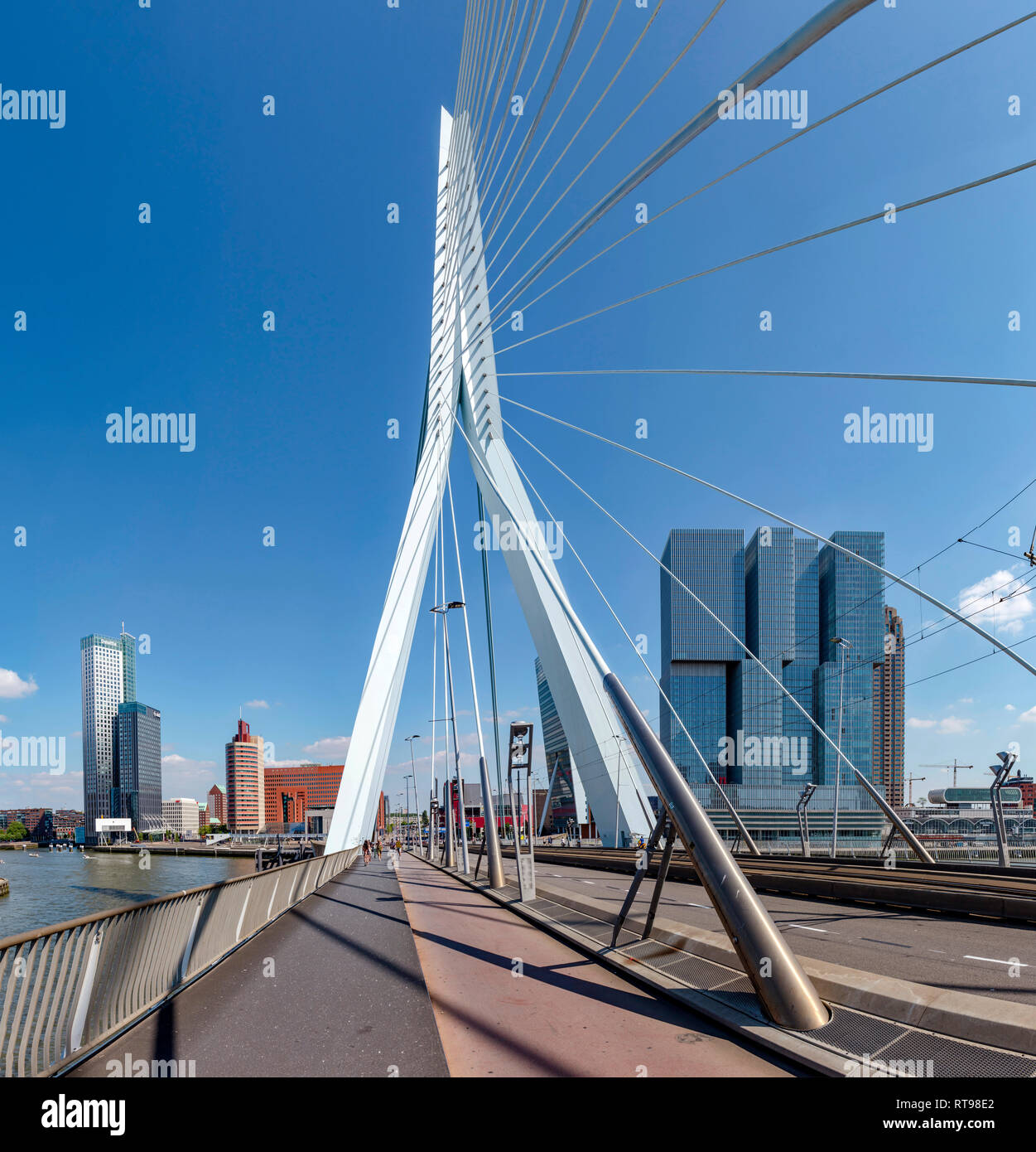The Erasmusbridge and modern architecture Stock Photo - Alamy