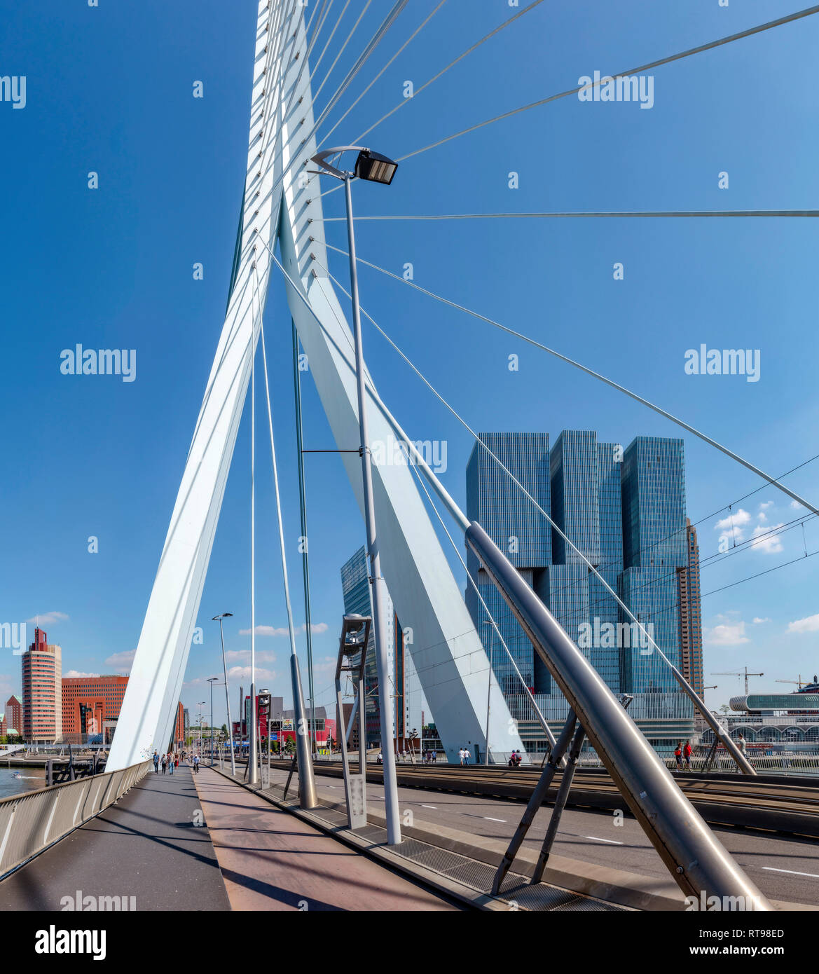 The Erasmusbridge and modern architecture Stock Photo - Alamy