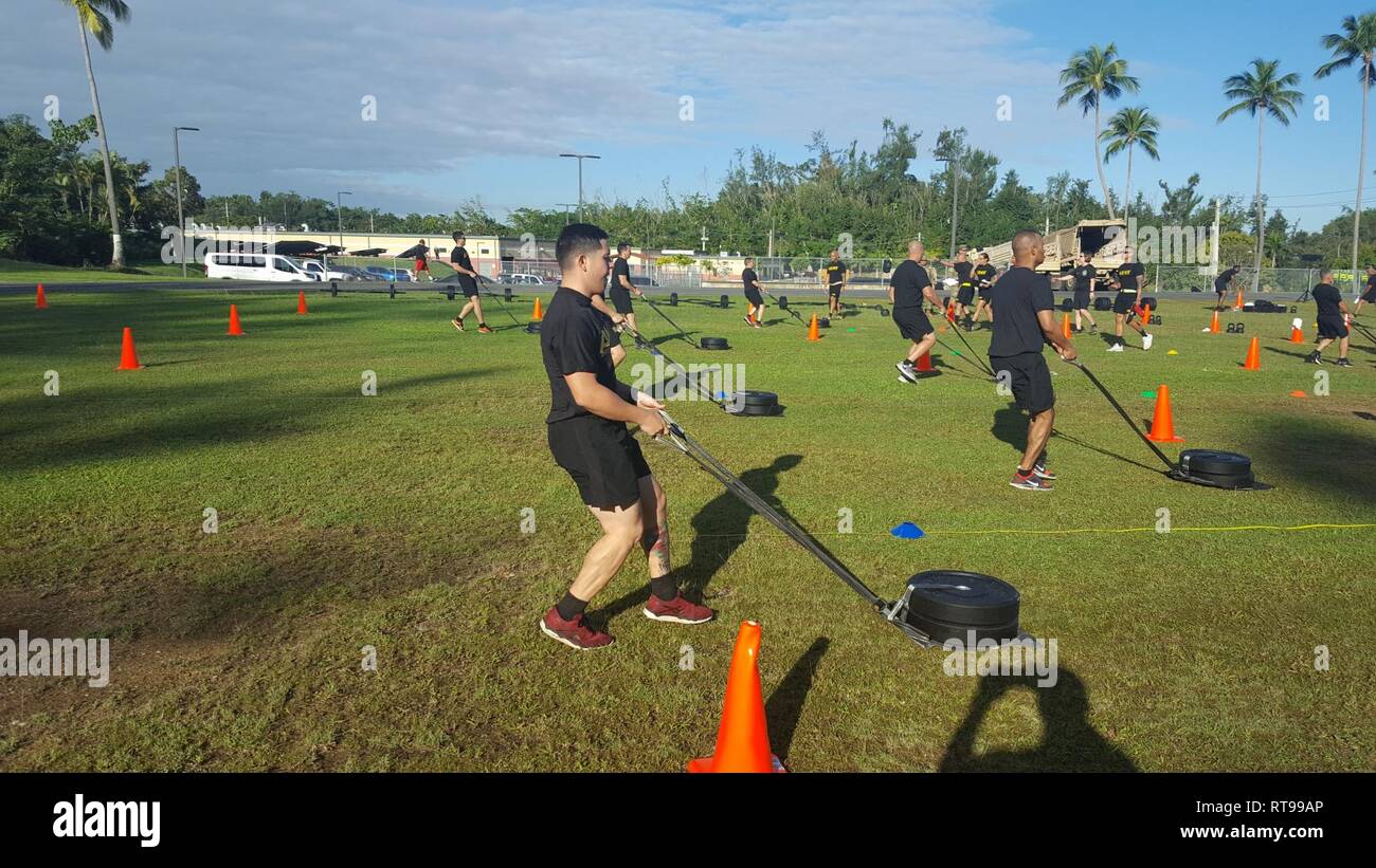 U s army physical fitness school hi-res stock photography and images ...