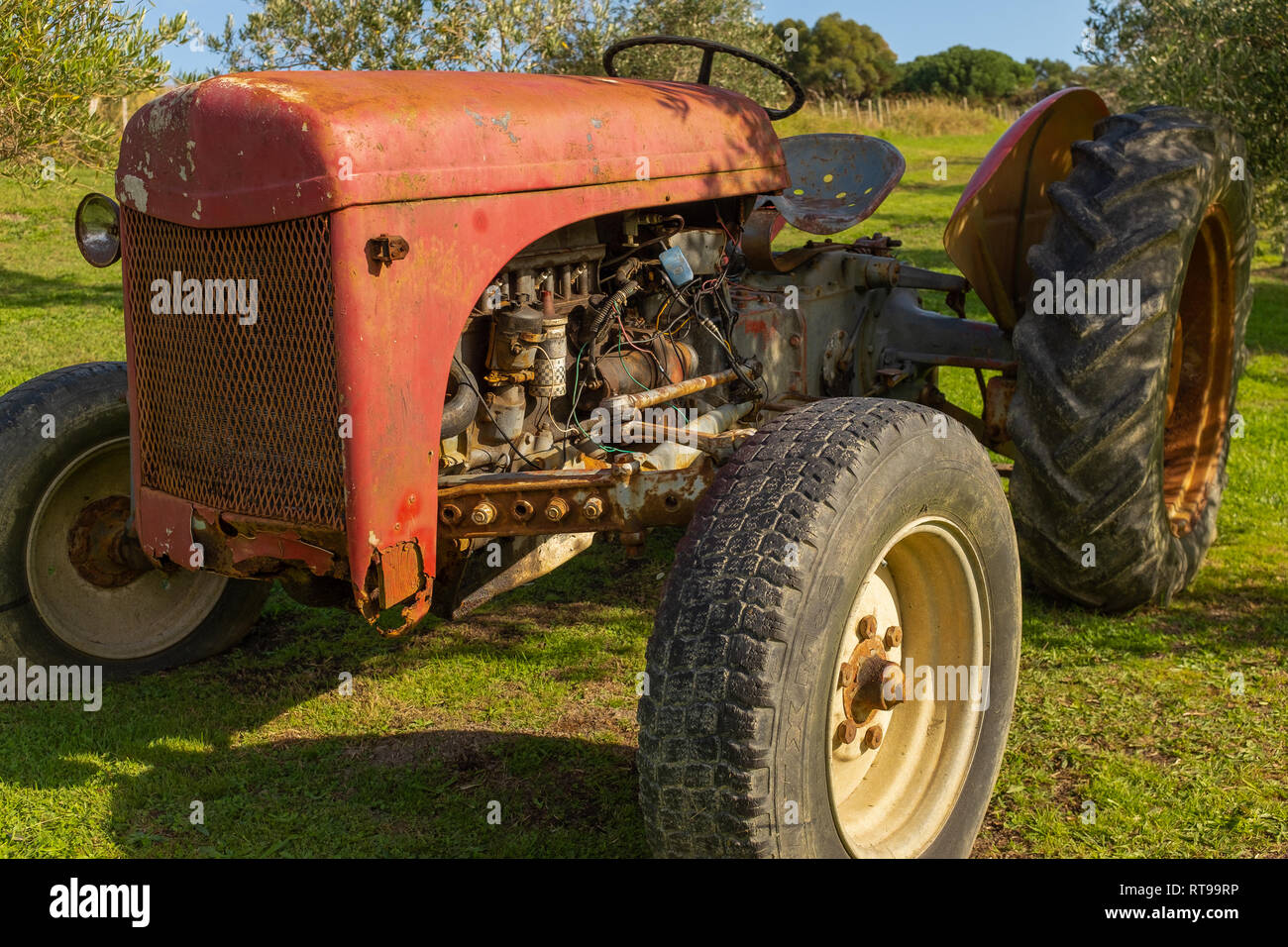 A close up of a rusting red tractor sitting in a garden, with flat ...