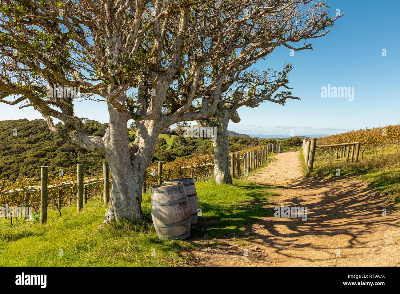Two large barrels hi-res stock photography and images - Alamy