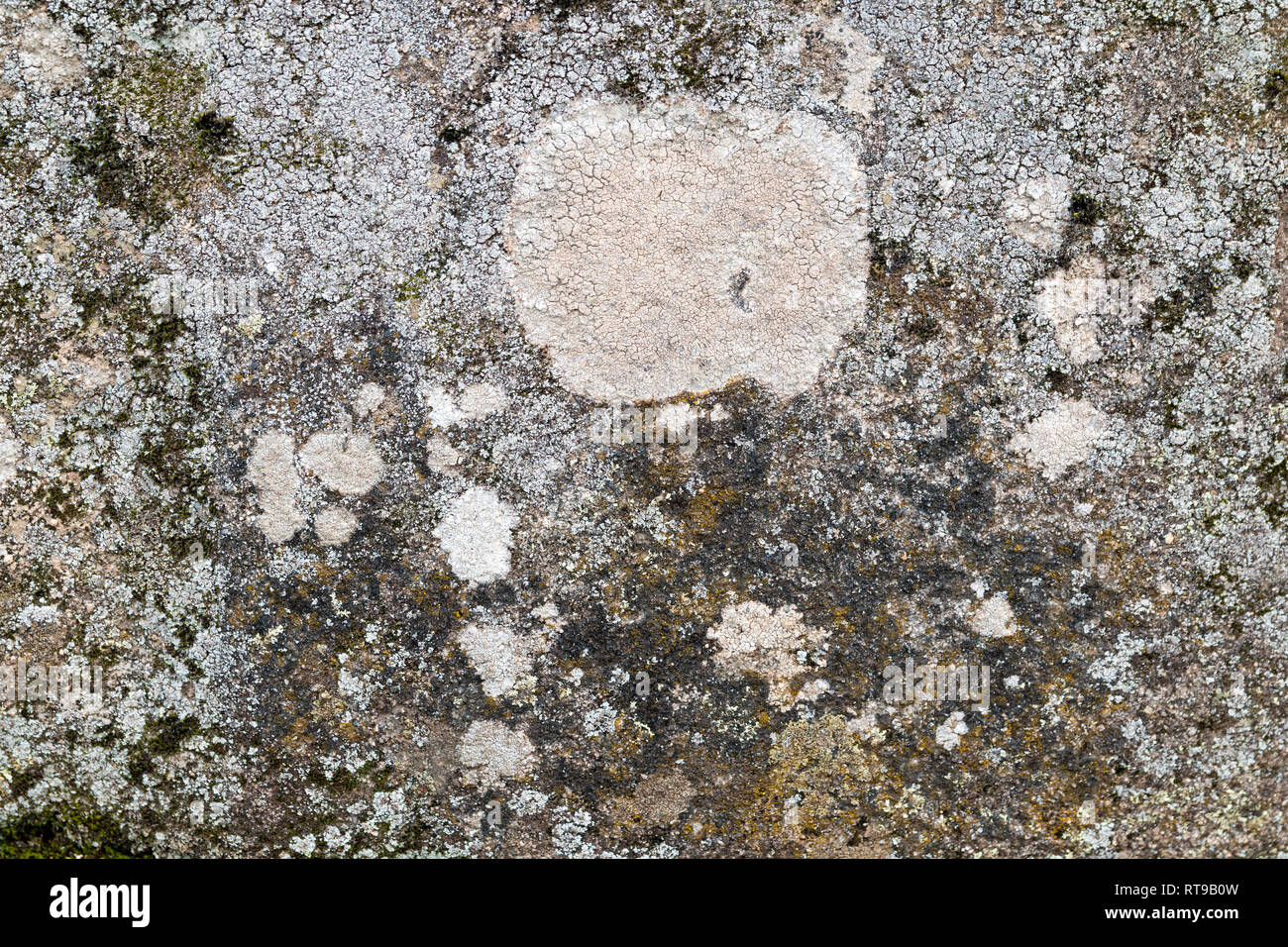 Granite pattern texture hi-res stock photography and images - Alamy