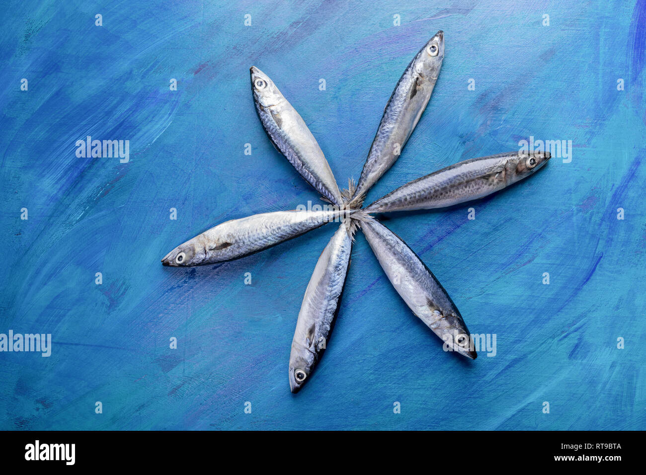 Pattern in star form of mackerel fishes on painted blue background. Raw ...