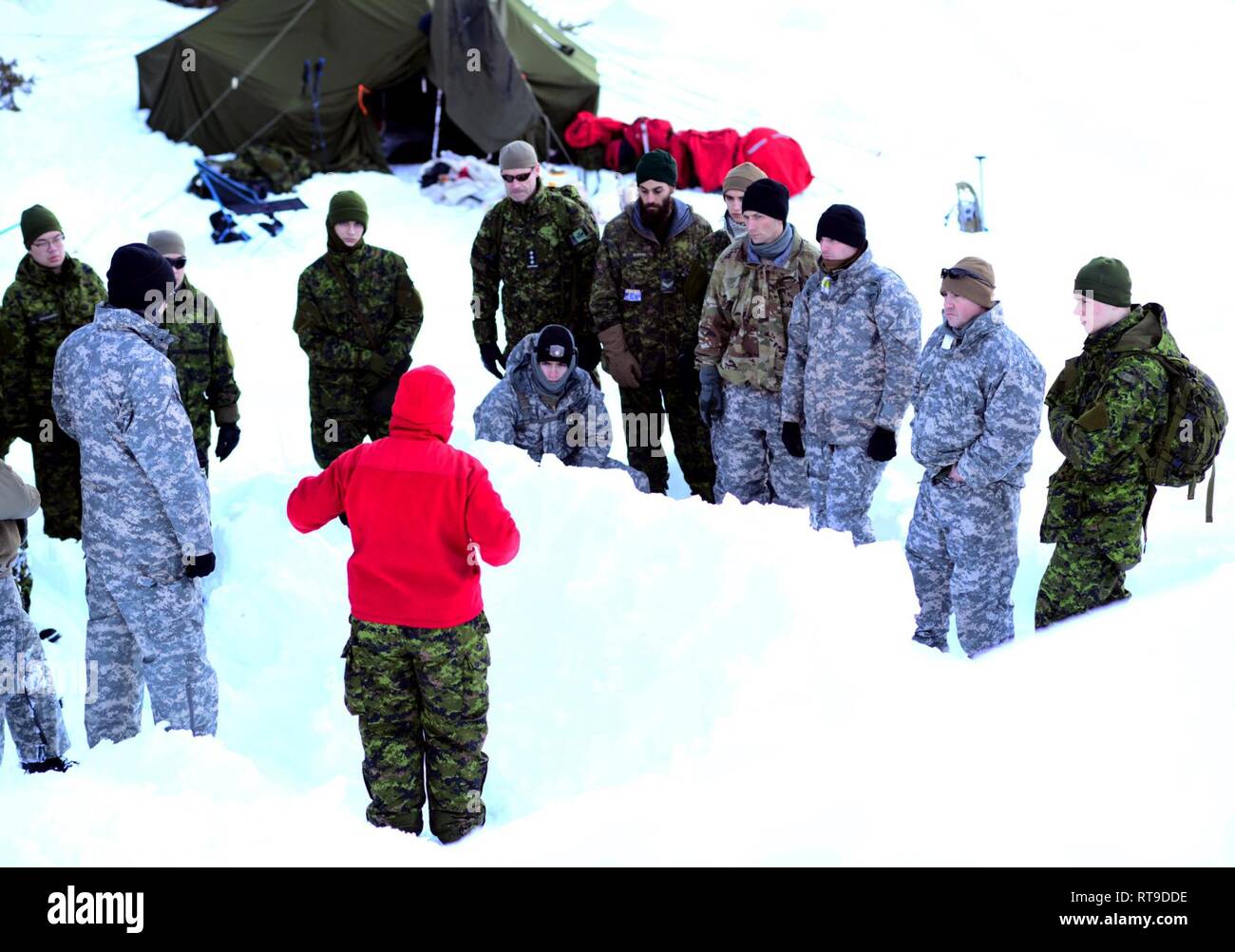 Canadian rangers patrol hi-res stock photography and images - Alamy