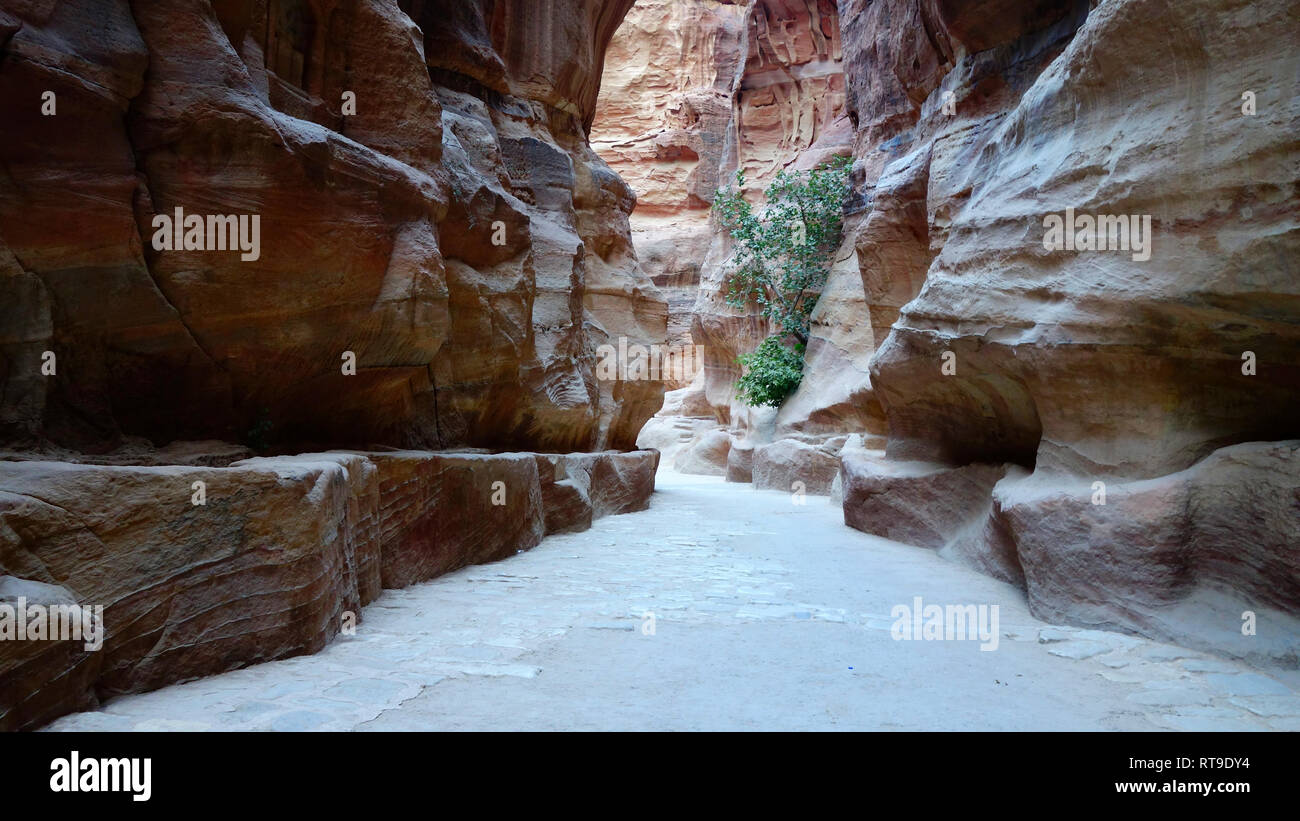 Petra in Jordan, Cave city, siq Stock Photo - Alamy