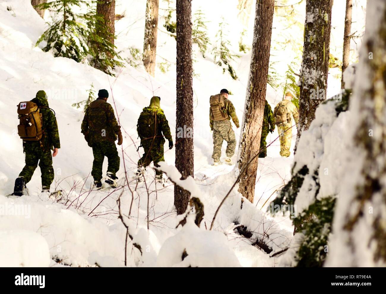 162nd infantry regiment hi-res stock photography and images - Alamy