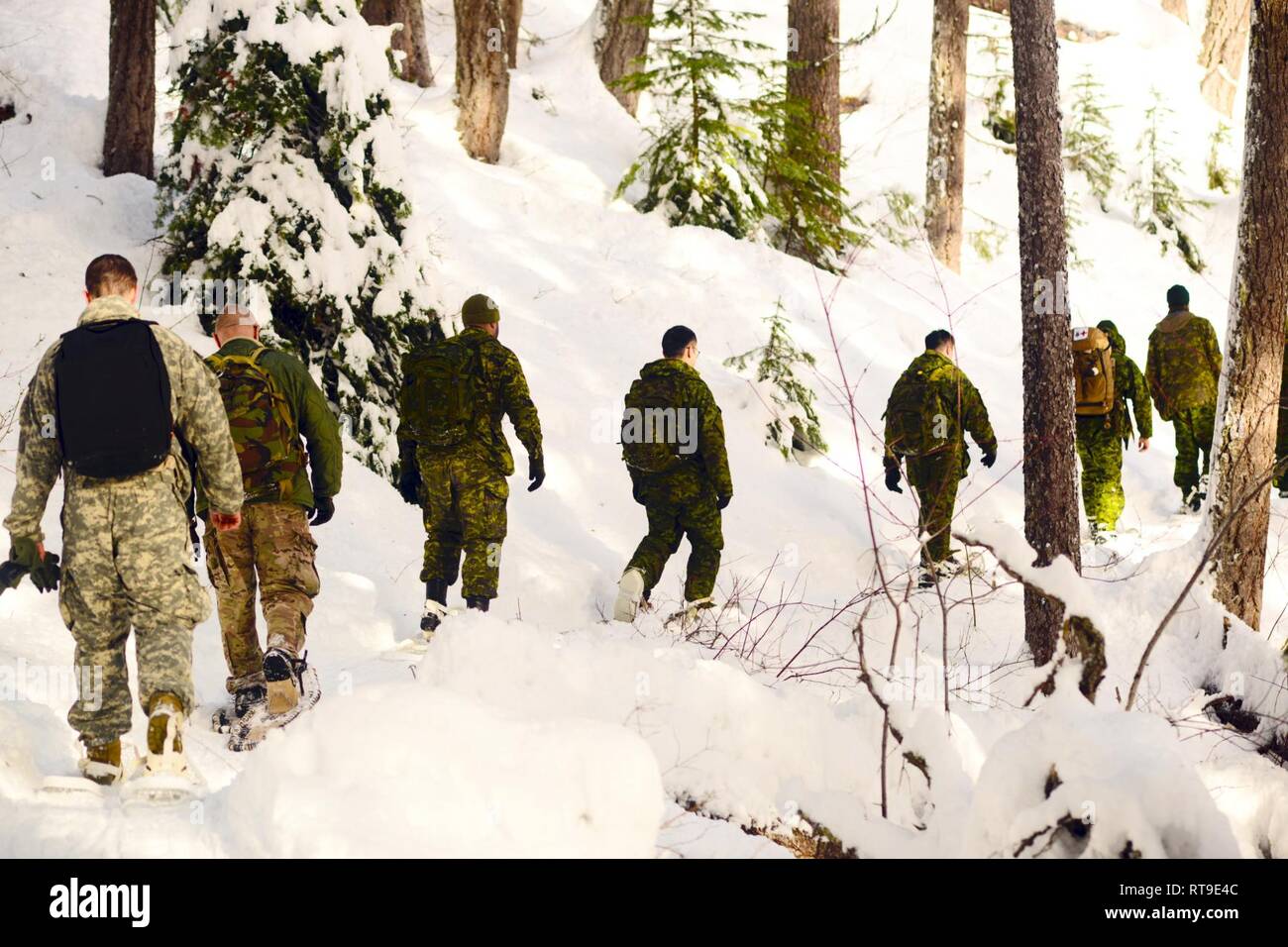 British columbia regiment hi-res stock photography and images - Alamy