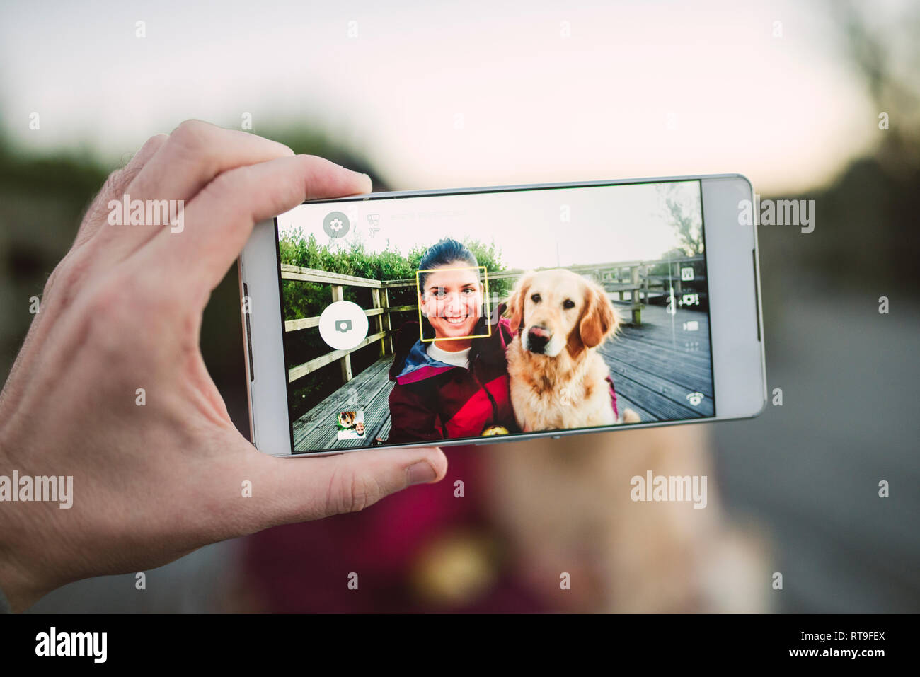 The golden cell hi-res stock photography and images - Alamy