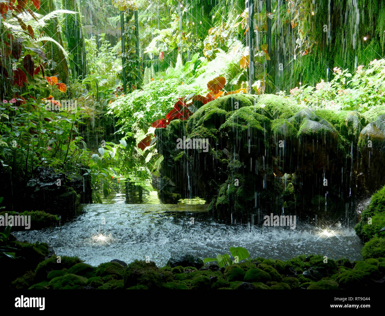 Relaxing jungle scene Stock Photo - Alamy