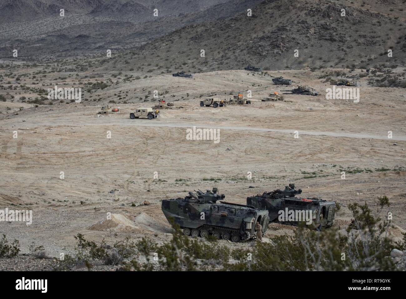 Defence Animal Training Regiment High Resolution Stock Photography and ...