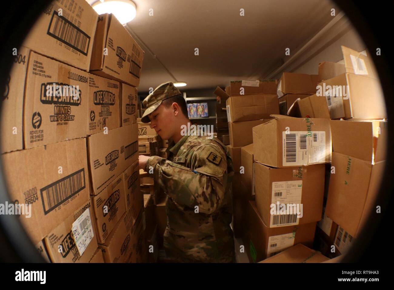 Veterinary food inspection hi-res stock photography and images - Alamy