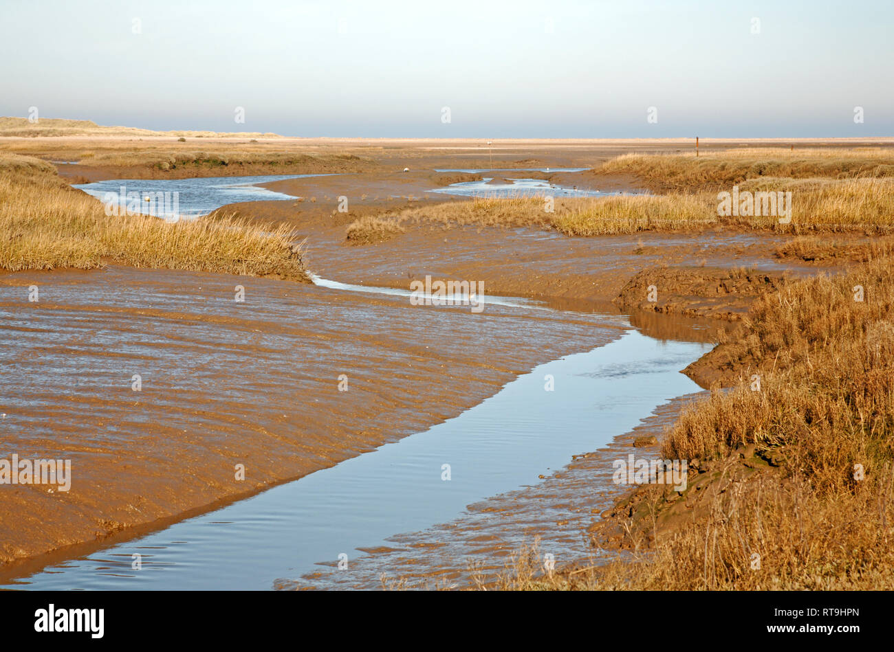 A creek in ebb tide meandering through salt marshes on the North ...