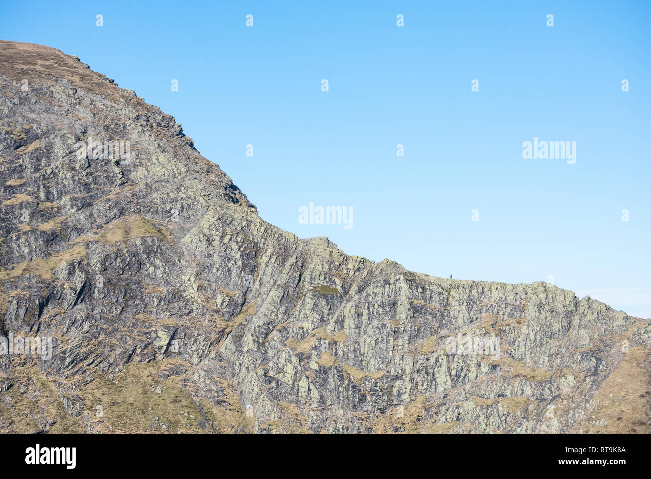 Walker on Sharp Edge, Blencathra Stock Photo - Alamy