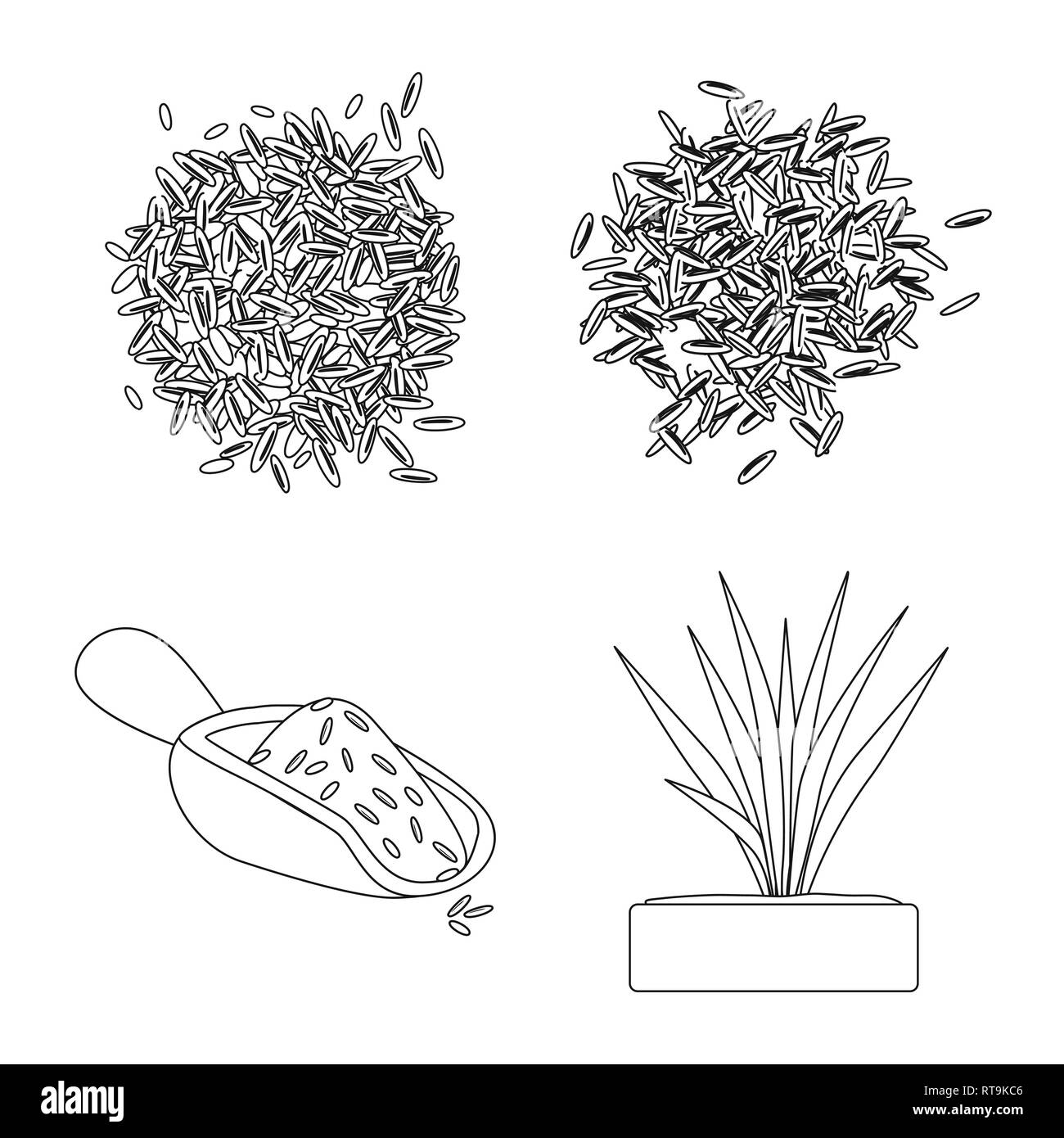 Grain Products Drawing