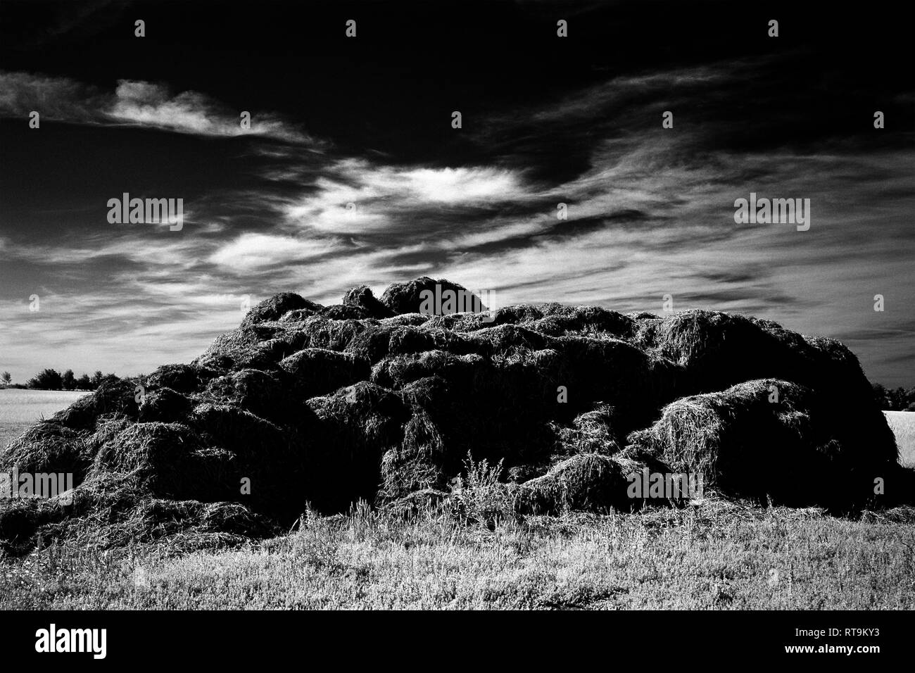 Midden heap hi-res stock photography and images - Alamy